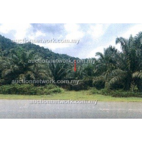 Along Jalan RE, Jalong, 31100 Sungai Siput (U), Perak
