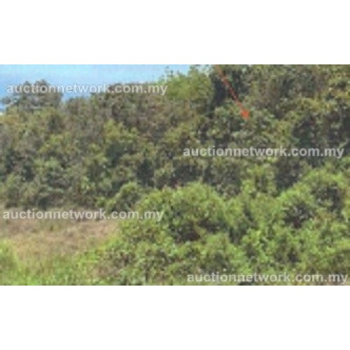 Tanah Merah, Kampung Tandak Ketam, 17500 Tanah Merah, Kelantan