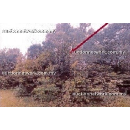 Kampung Lalang Luas, Labok, 18500 Machang, Kelantan