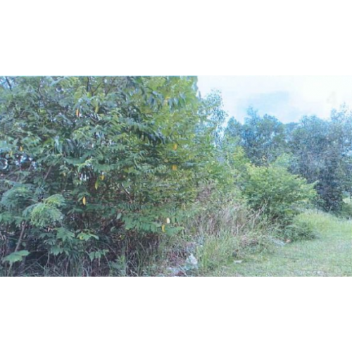 Jalan Rimba Riang 9/13, Seksyen 9, Kota Damansara, 47810 Petaling Jaya ...