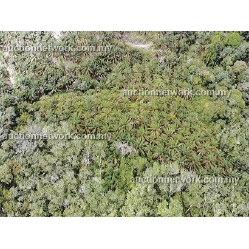 Simpang Palong, Jalan Bahau-Rompin, 73470 Gemas, Negeri Sembilan