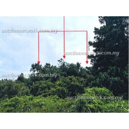 Kampung Cherang Hangus, 17000 Pasir Mas, Kelantan